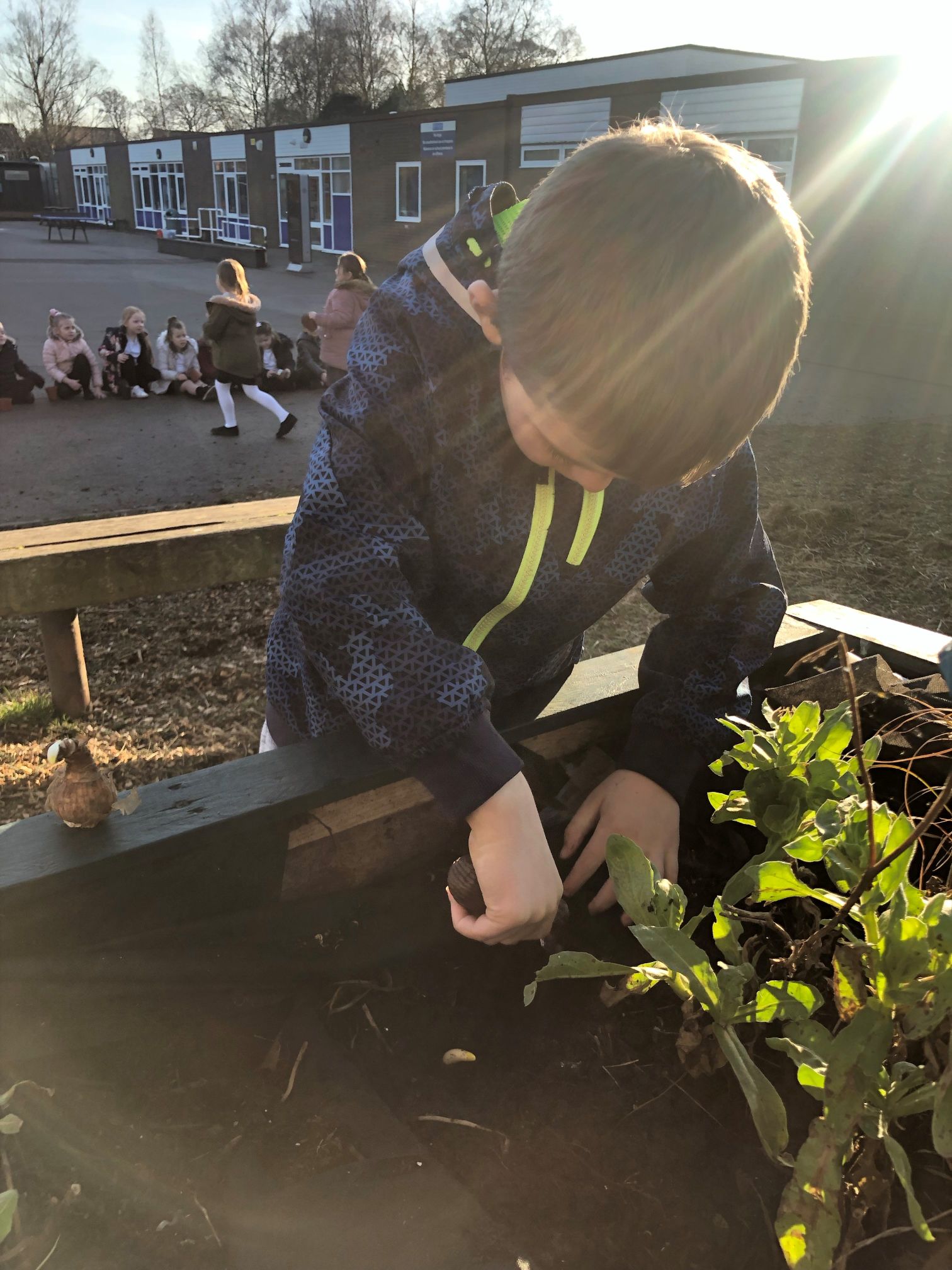 Willow Class learn about plants - Longlands Primary School